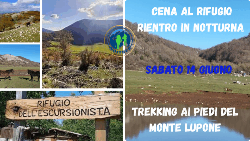 Escursioni giornaliere e Viaggi di Gruppo » NoiTrek